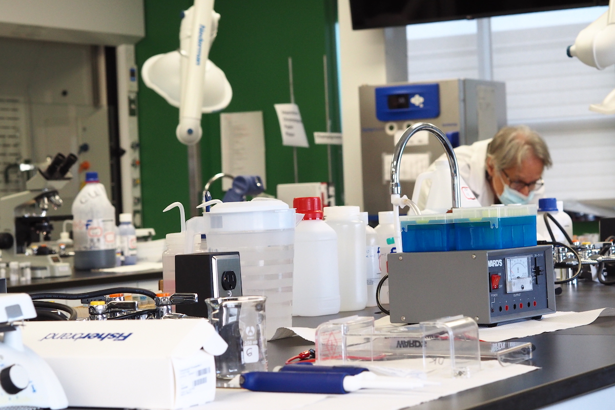 Programme Pré-Uni: DEC en Sciences de la Nature